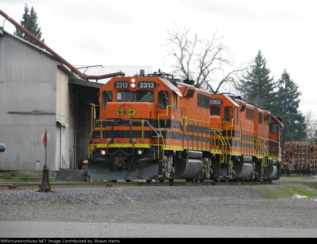 PNWR2313 leading the "turmite train"